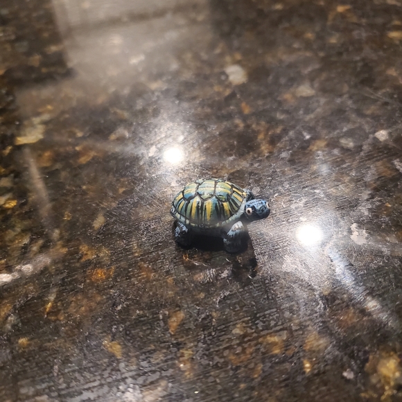 Accents | Tiny Turtle Trinket | Poshmark